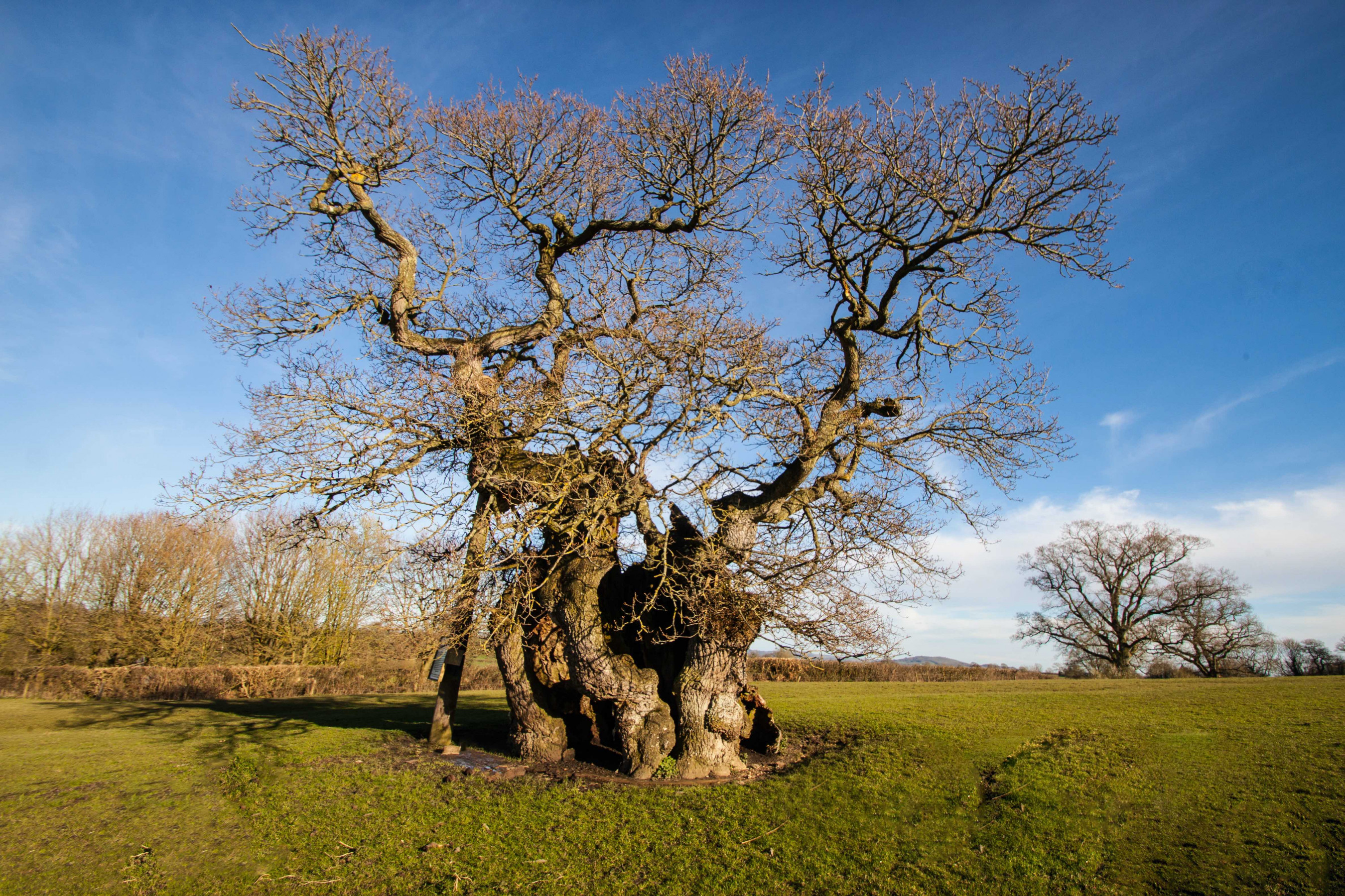 History - Silton Village / Dorset